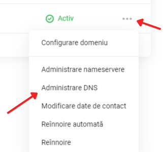 Cum adaugi un domeniu Shopify | datahost.ro